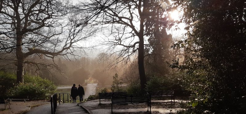 January Intentions for Health & Happiness